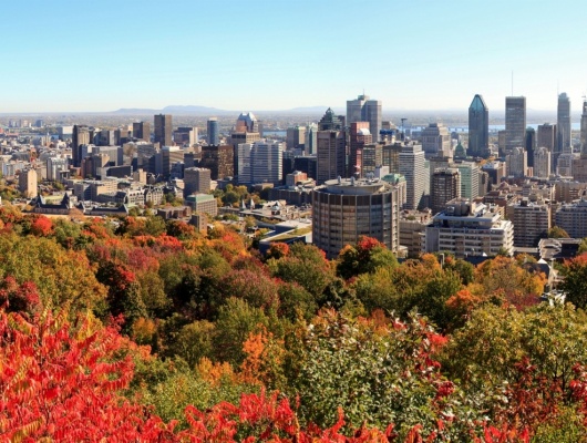 10 plats québécois incontournables